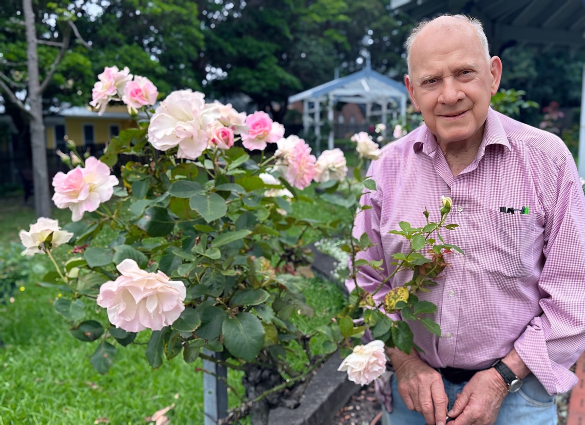 Colin Hollis shares his tips for preparing and presenting roses at the ...